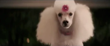 Fifi the Vampire Poodle (Goosebumps) | VS Battles Wiki | Fandom