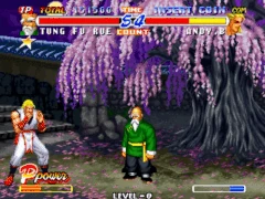 Tung Fu Rue (Fatal Fury) | VS Battles Wiki | Fandom