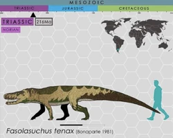 Fasolasuchus | VS Battles Wiki | Fandom