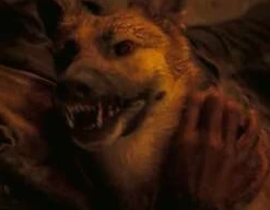 Samantha (I Am Legend) | VS Battles Wiki | Fandom