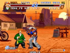 Tung Fu Rue (Fatal Fury) | VS Battles Wiki | Fandom