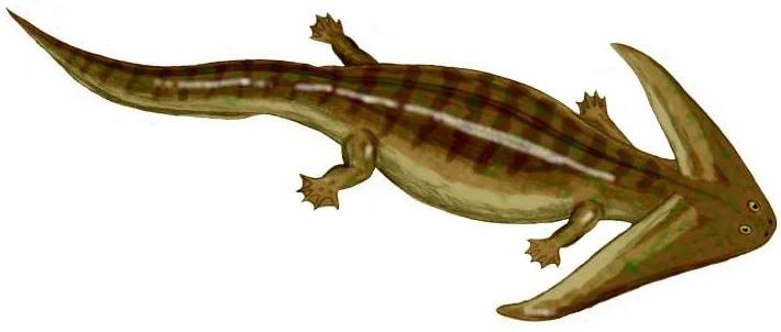 Diplocaulus | VS Battles Wiki | Fandom