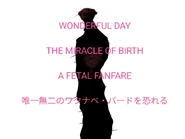 Phen-228 (The Boiled One Phenomenon) | VS Battles Wiki | Fandom