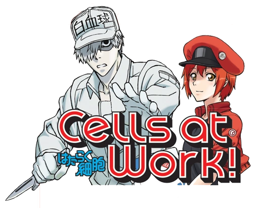 Cells at Work! | VS Battles Wiki | Fandom