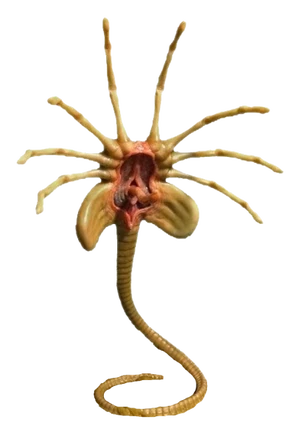 Xenomorph | VS Battles Wiki | Fandom