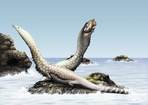 Nothosaurus | VS Battles Wiki | Fandom