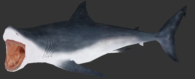 Megatooth Shark (Shark! Hunting the Great White) | VS Battles Wiki | Fandom