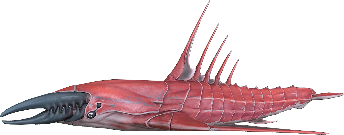 Reaper Leviathan vs Chelicerate (7-0-3) GRACE | VS Battles Wiki Forum