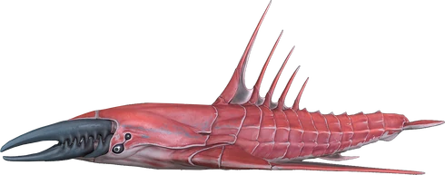 Chelicerate | VS Battles Wiki | Fandom