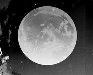 Benimaru Shinmon | VS Battles Wiki | Fandom