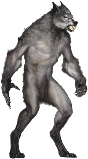 Grey Werewolf (Van Helsing) | VS Battles Wiki | Fandom