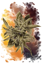 Dungeons and Dragons | VS Battles Wiki | Fandom