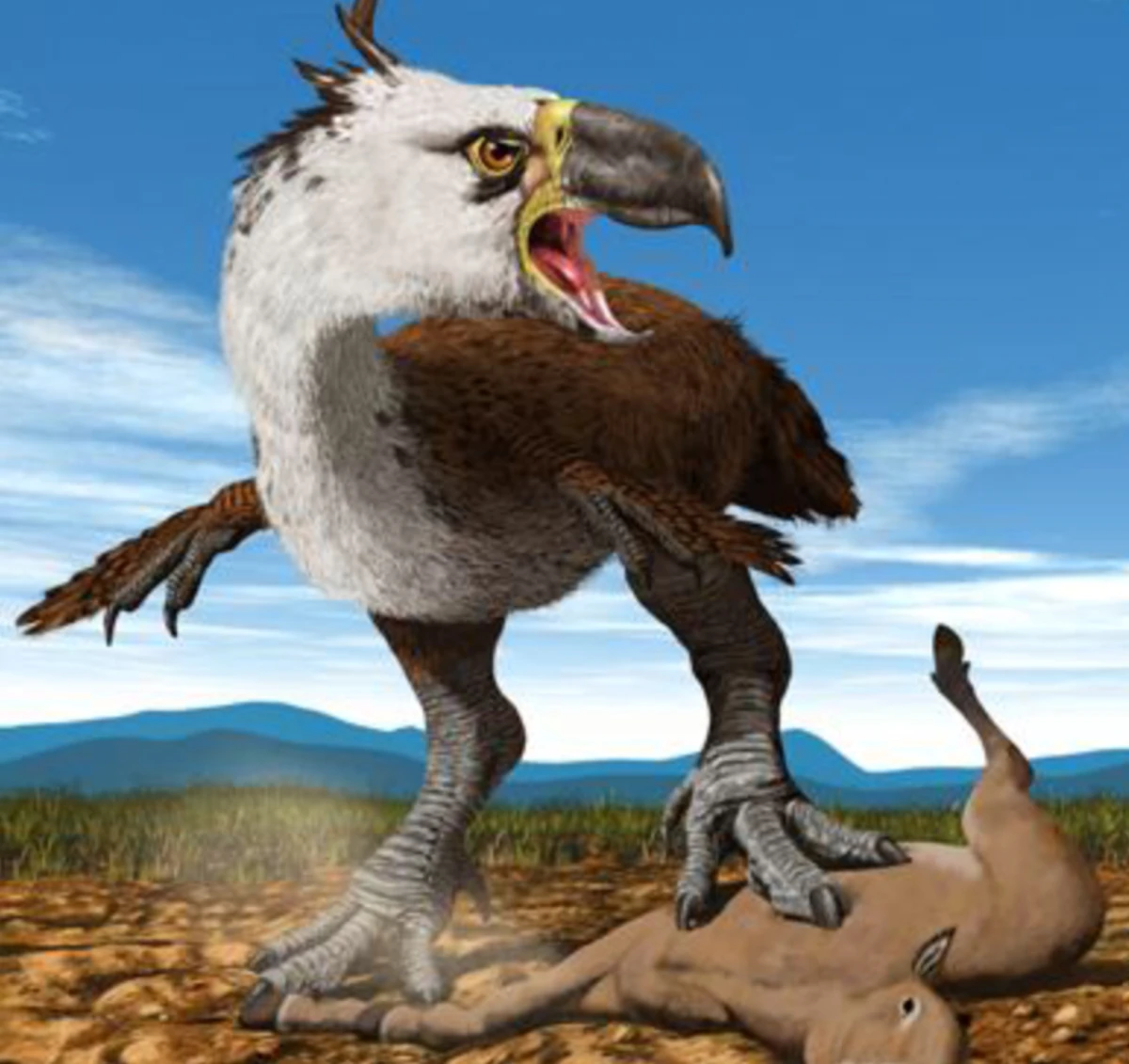 User blog:HeadlessKramerGeoff777/Terror Bird | VS Battles Wiki | Fandom