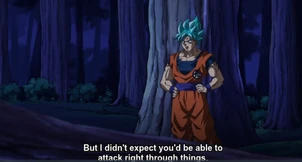 User blog:Celestial Pegasus/Dragon Ball Super Feats | VS Battles Wiki ...