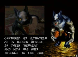 Instinto Assassino Sabrewulf 1994