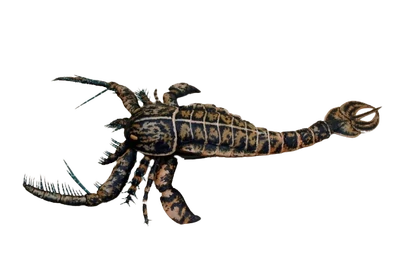 Megalopraptus | VS Battles Wiki | Fandom