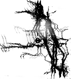 Death (The Endless Empty) | VS Battles Wiki | Fandom