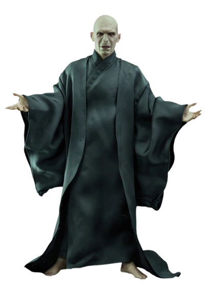 Voldemort | VsDebating Wiki | Fandom