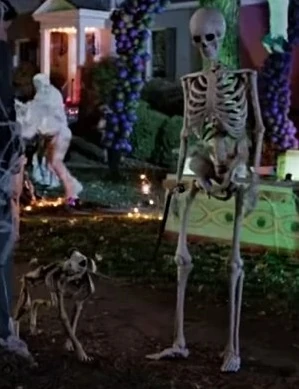 Curly the Skeleton | VsDebating Wiki | Fandom