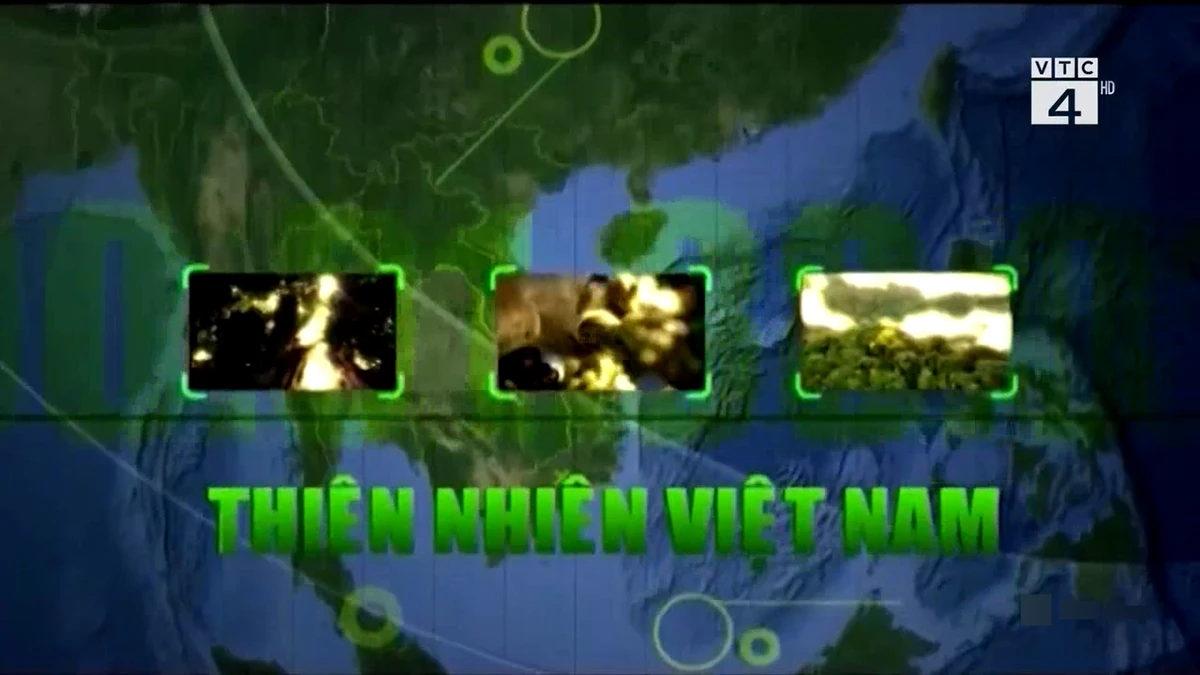 Thiên nhiên Việt Nam | Wiki VTC | Fandom