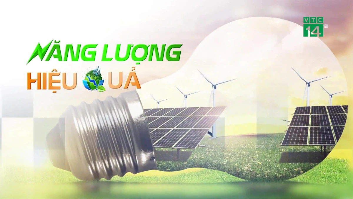 Năng lượng Hiệu quả | Wiki VTC | Fandom