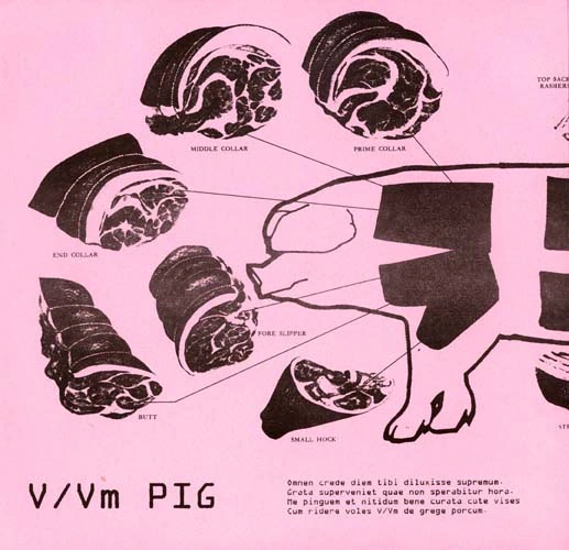 Pig | V/Vm Wiki | Fandom
