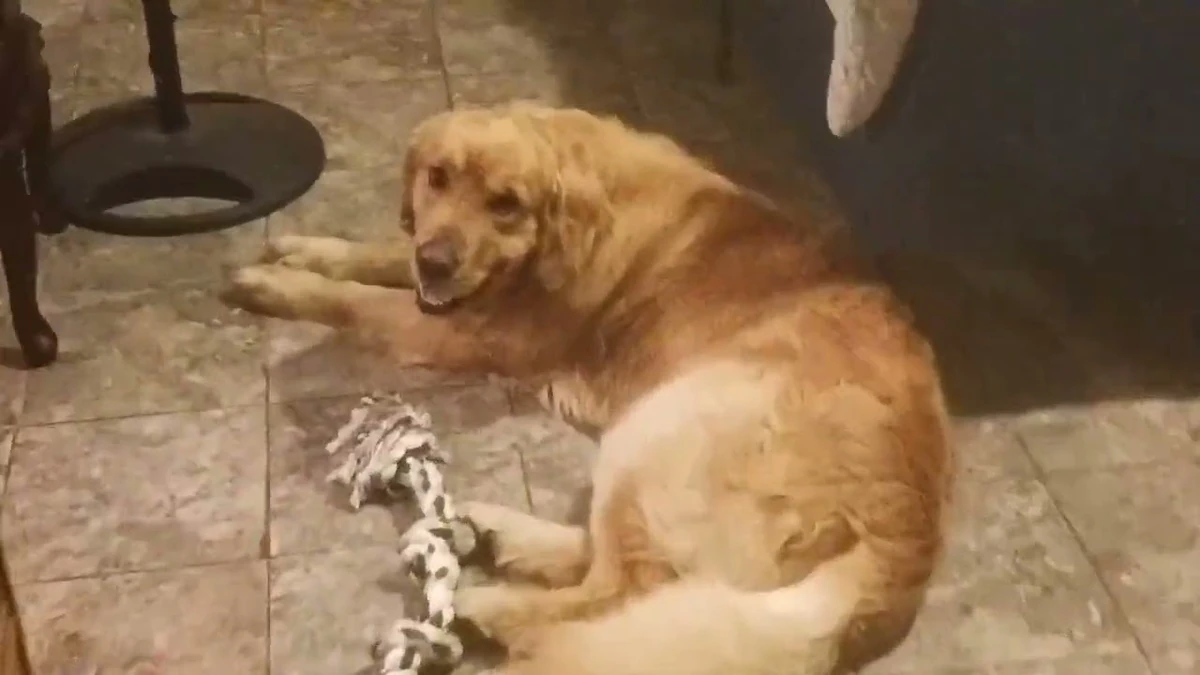 Really Big Twist: With Oliver | VvvvvaVvvvvr Wiki | Fandom