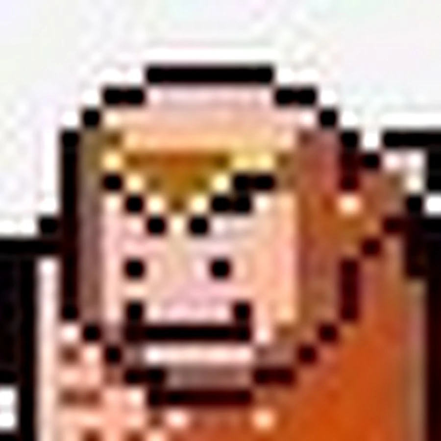 Turtle | VvvvvaVvvvvr Wiki | Fandom