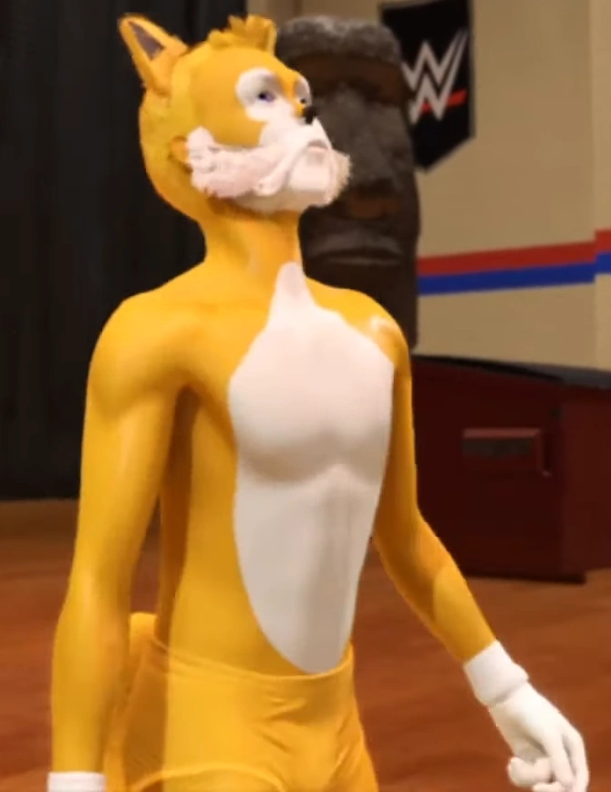 Miles "Tails" Prower | Vinewrestle Statistics Wiki | Fandom