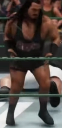 Rhyno | Vinewrestle Statistics Wiki | Fandom