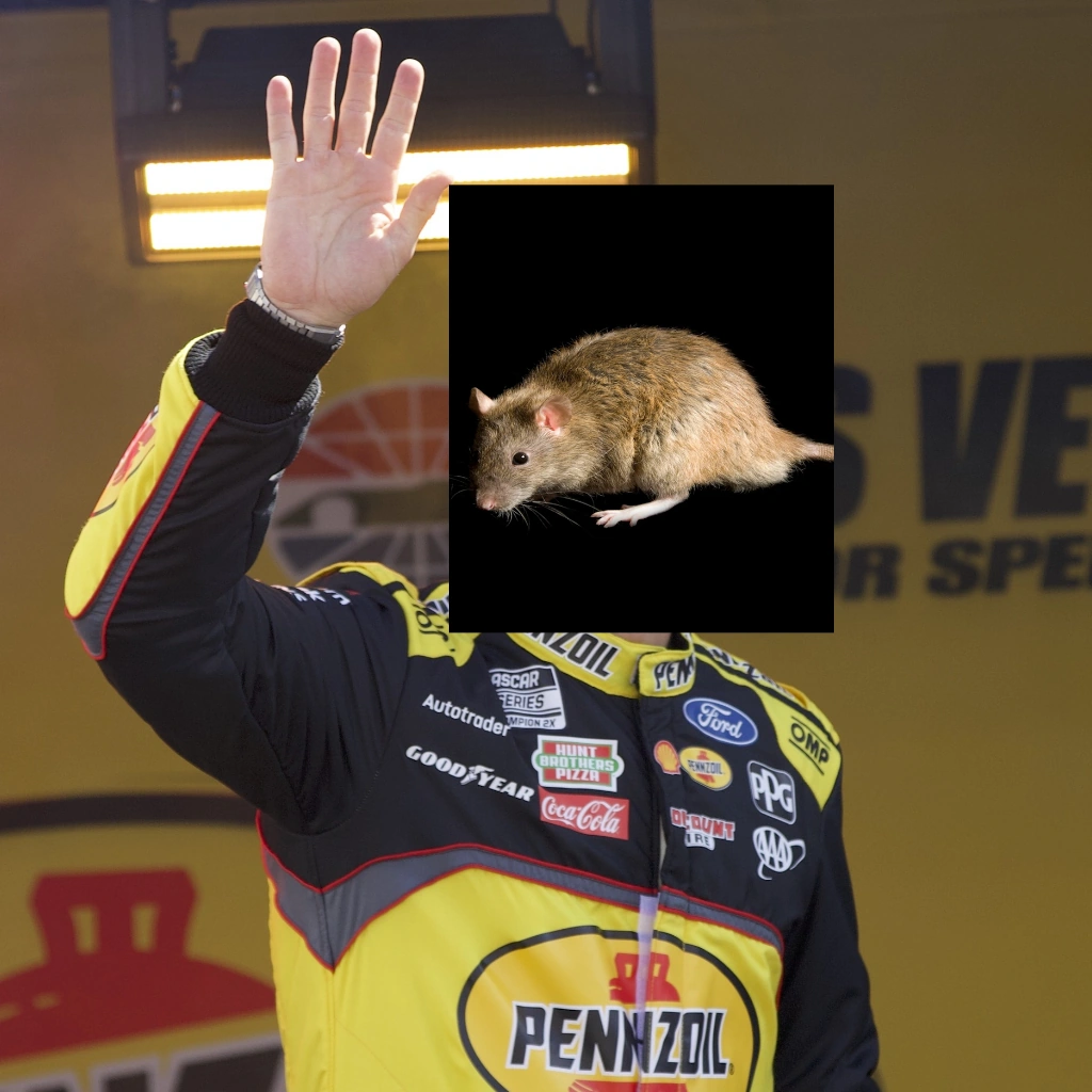 Venascar Joey Logano | Vyrian's Altverse Wiki | Fandom