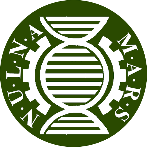 Nulna VII | Wiki W40k Fluff-Fan | Fandom