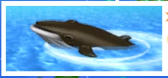 Whale Watchers | Wii Sports Wiki | Fandom