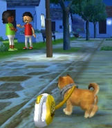 Shinnosuke | Wii Sports Wiki | Fandom