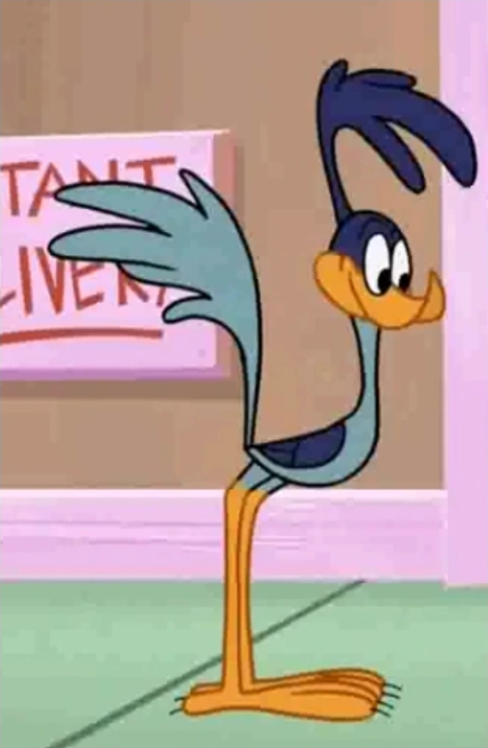 Road Runner | Wabbit Wiki | Fandom