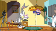 To Catch a Fairy | Wabbit Wiki | Fandom