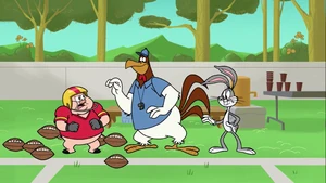 Porky Pigskin | Wabbit Wiki | Fandom