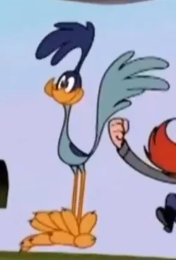 Looney Tunes Personagens Roadrunner