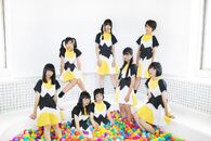 WAgg | WACKi Wiki | Fandom