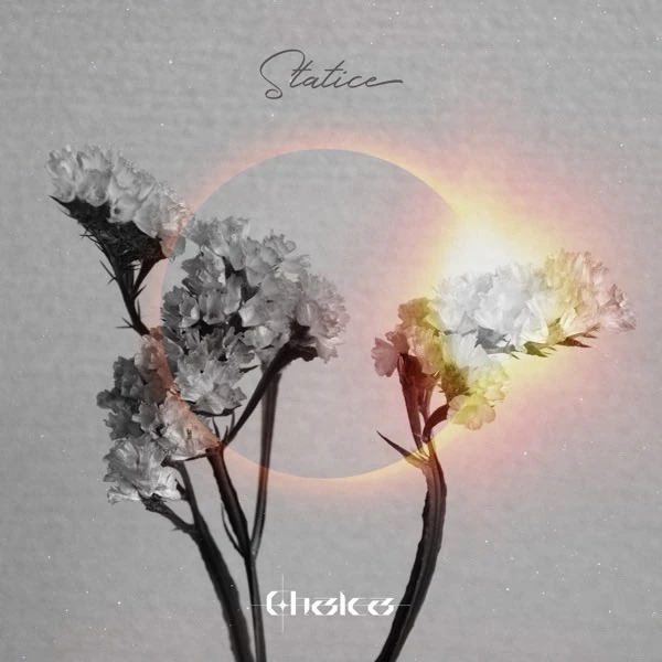 Statice | WACKi Wiki | Fandom