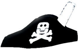 Pirate Hat | Wacky Wizards Wiki | Fandom