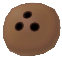 Coconut | Wacky Wizards Wiki | Fandom