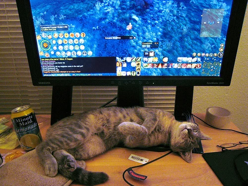 Rbgs | Wiki Wad | Fandom