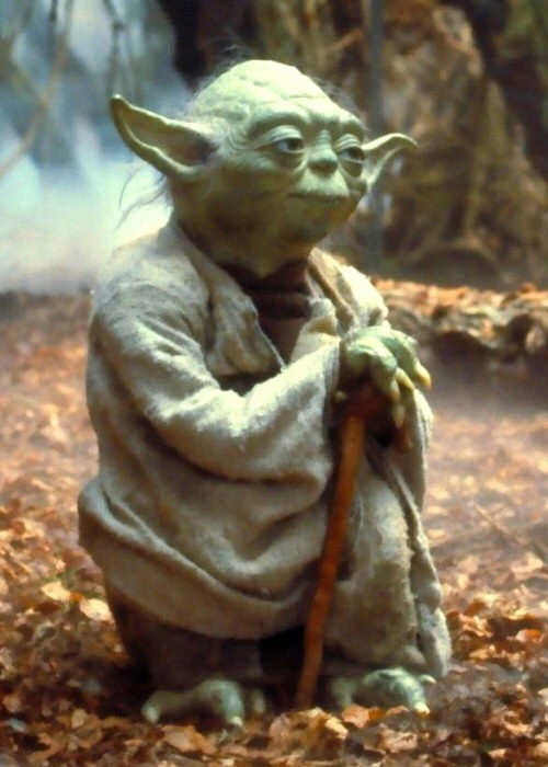 Judge Yoda | Wafanci Wiki | Fandom