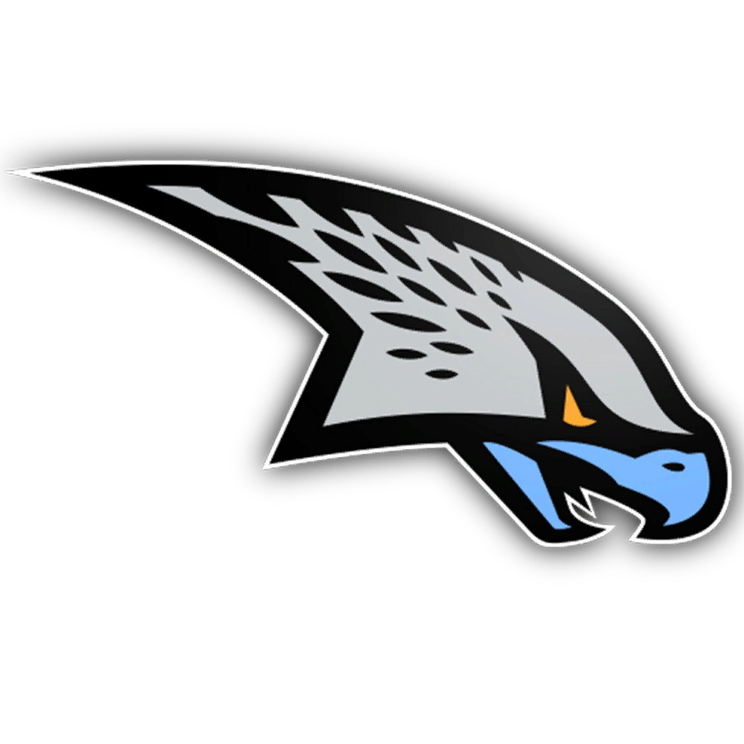 Brooklyn Snowhawks | WAFL Wiki | Fandom