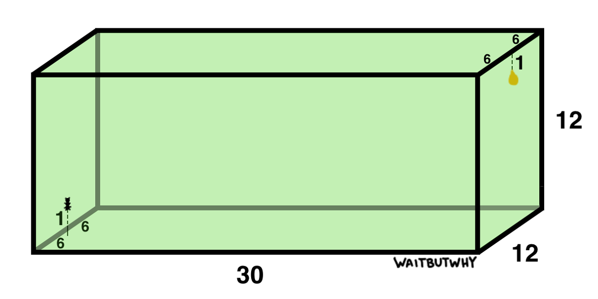 The Ant-Honey Problem | Wait But Why Wiki | Fandom