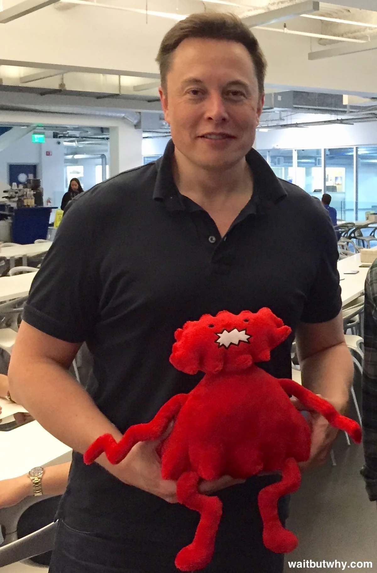 Elon Musk post series | Wait But Why Wiki | Fandom