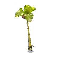 Lokoko | Wakfu Wiki | Fandom