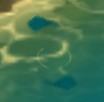 Shoal of Sea Boowolves | Wakfu Wiki | Fandom