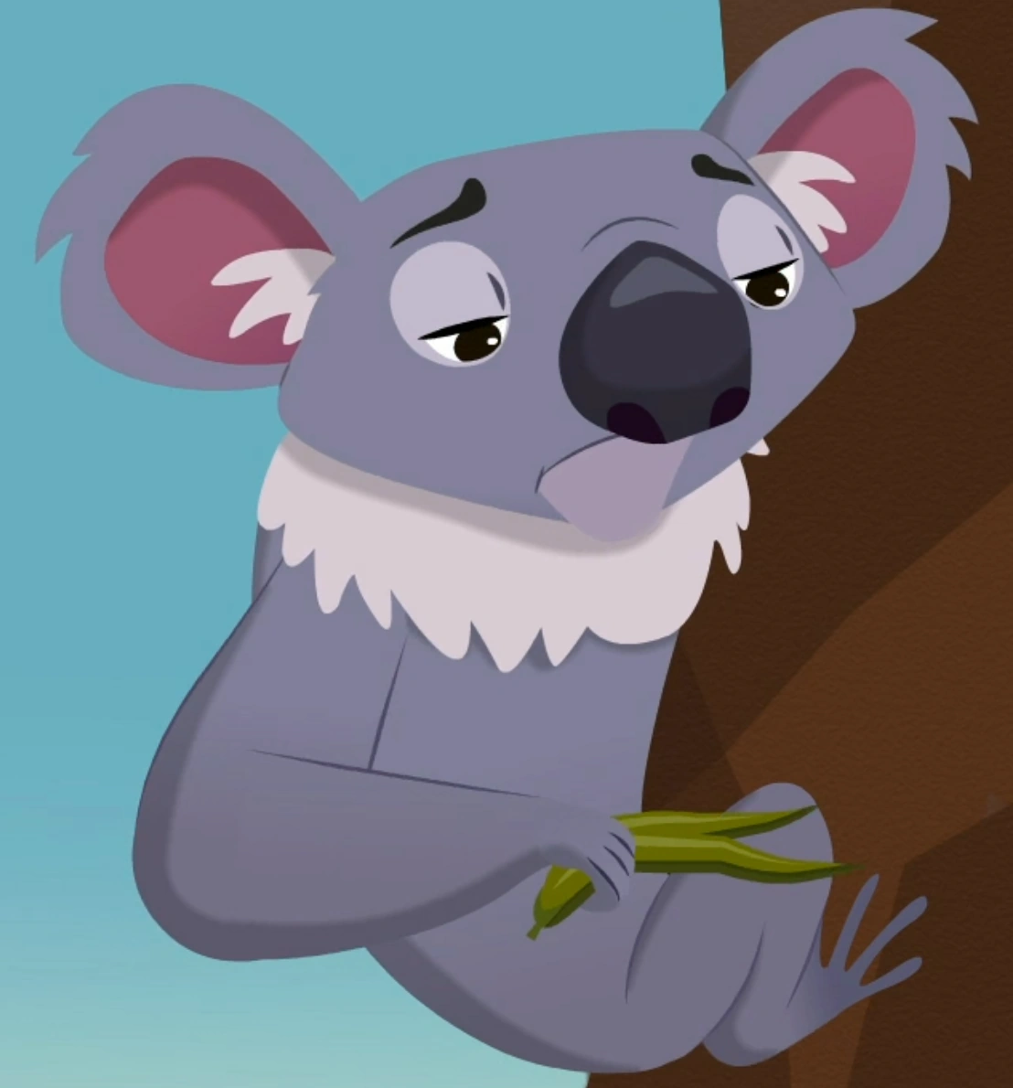 Koala | Waldo Wiki | Fandom